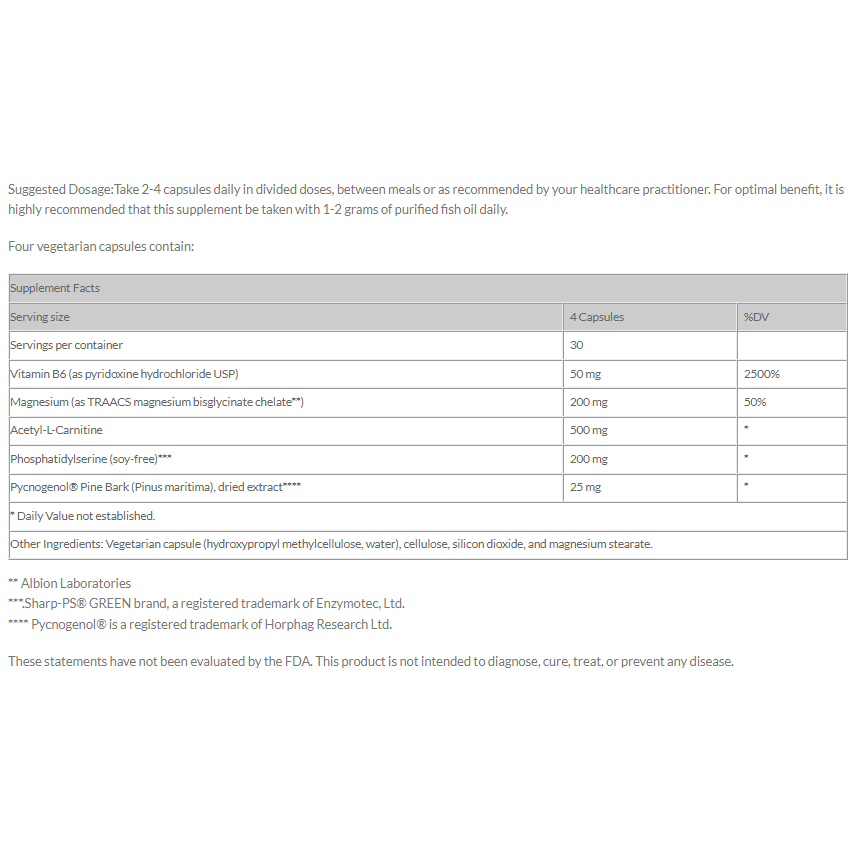New Beginnings - Focus-Mate - OurKidsASD.com